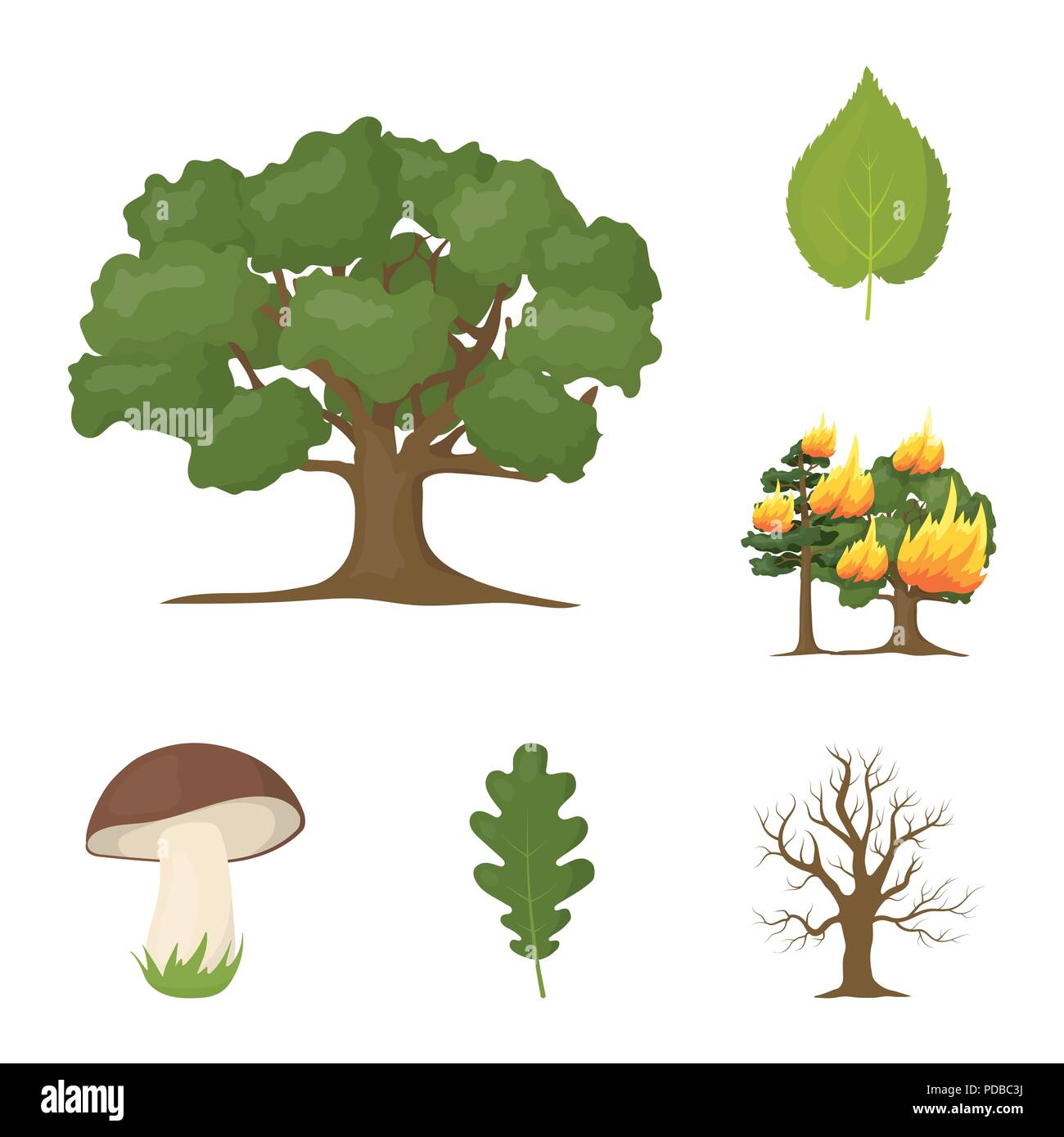 Forest and nature cartoon icons in set collection for design. Forest ...