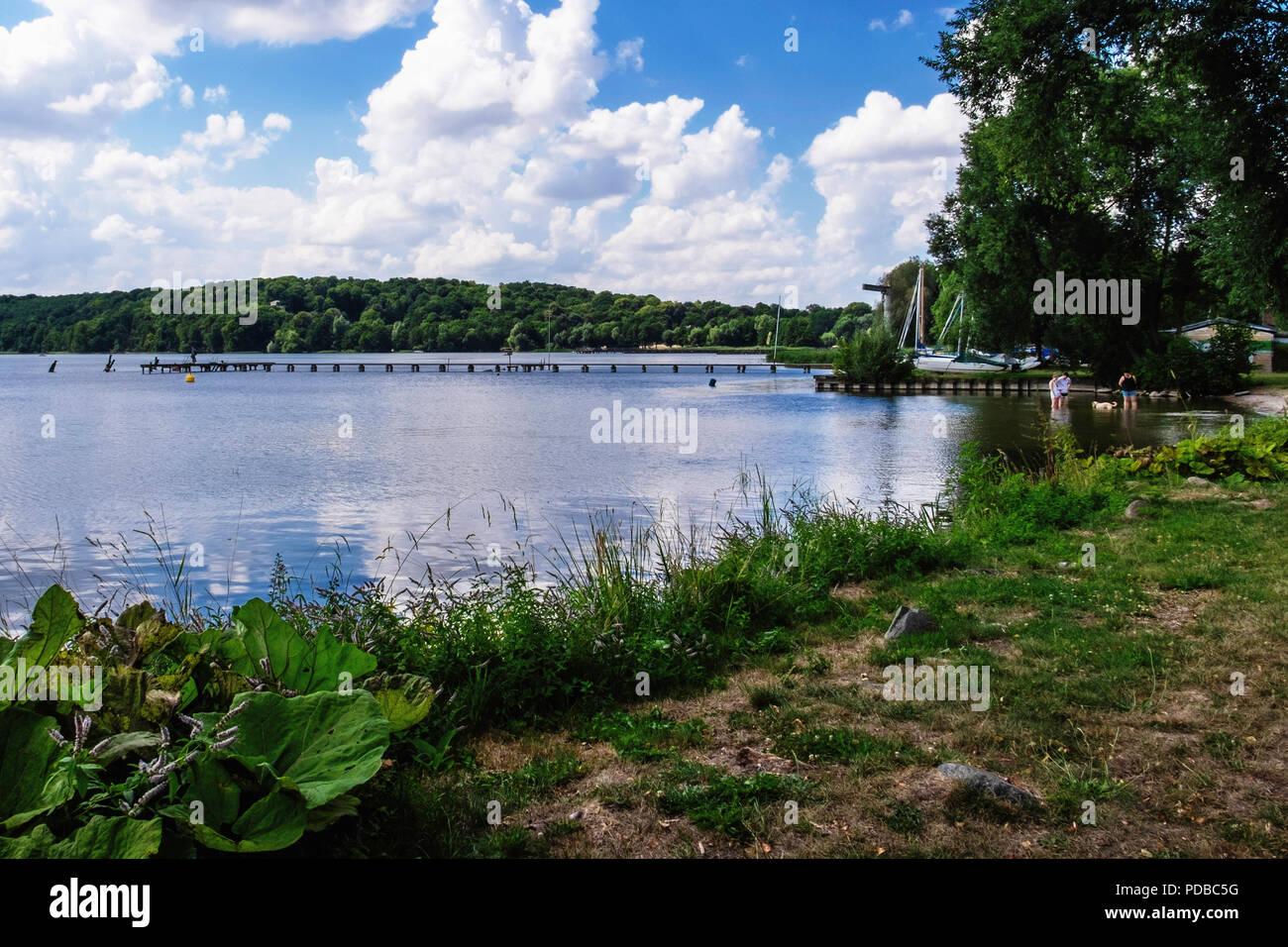 Tollensee lake, popular swimming spot & holiday destination at ...