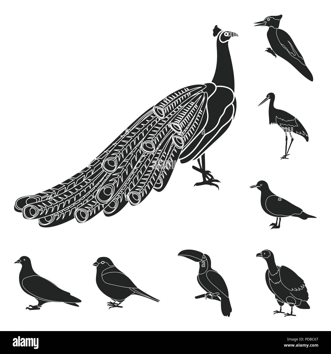 Types of birds black icons in set collection for design. Home and wild ...