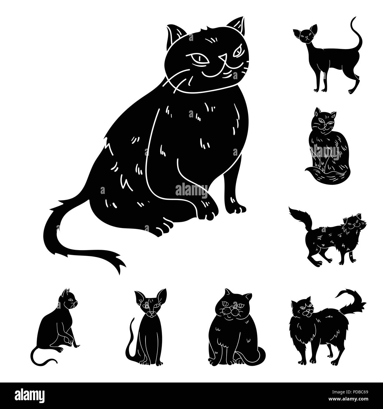 Breeds of cats black icons in set collection for design. Pet cat vector ...