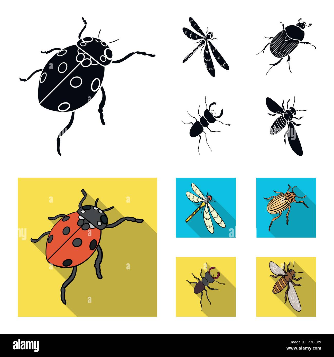 Arthropods Insect ladybird, dragonfly, beetle, Colorado beetle Insects ...