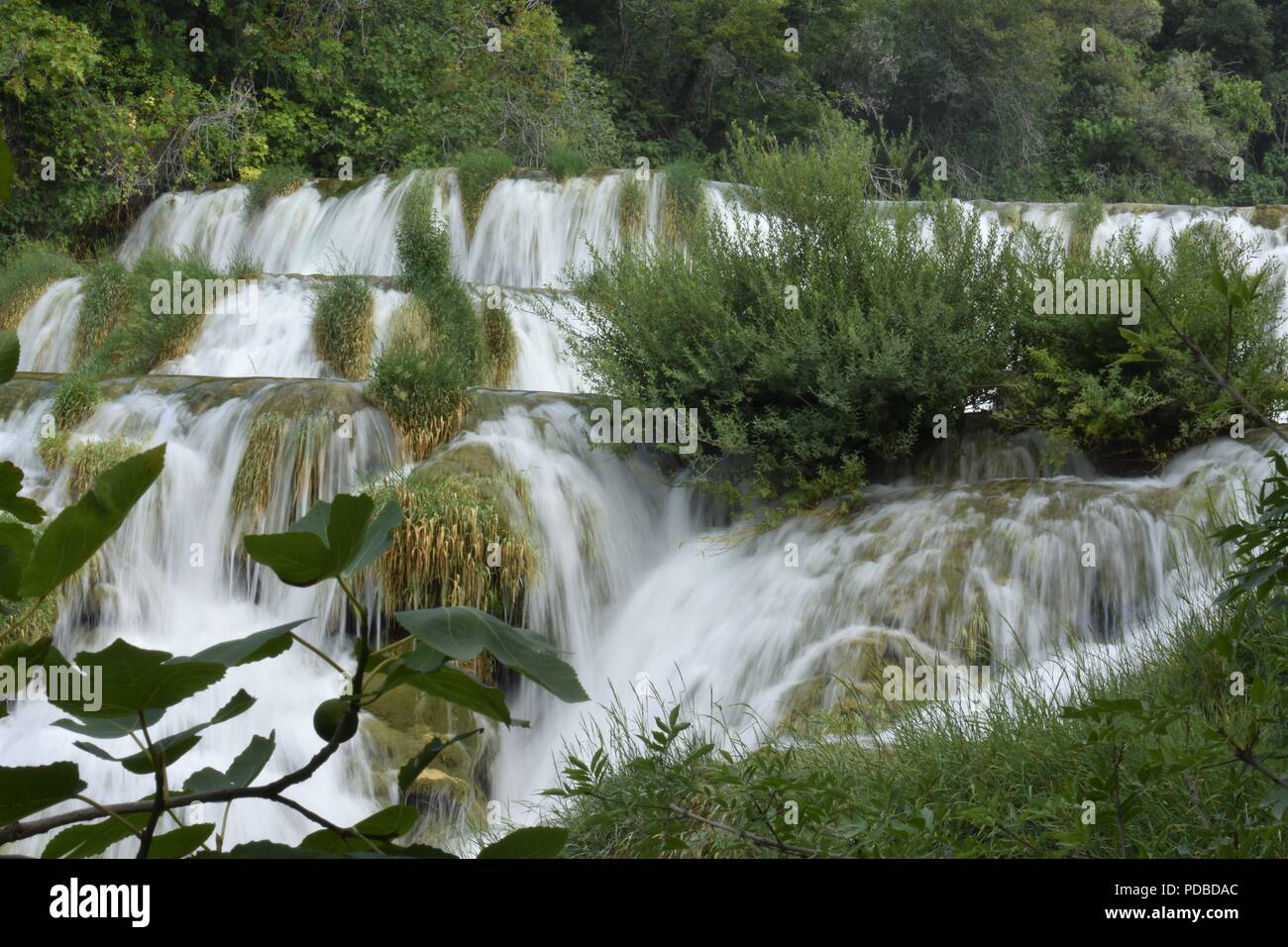 Smooth White Running Waterfall Overwhelming plants with Motion blur ...