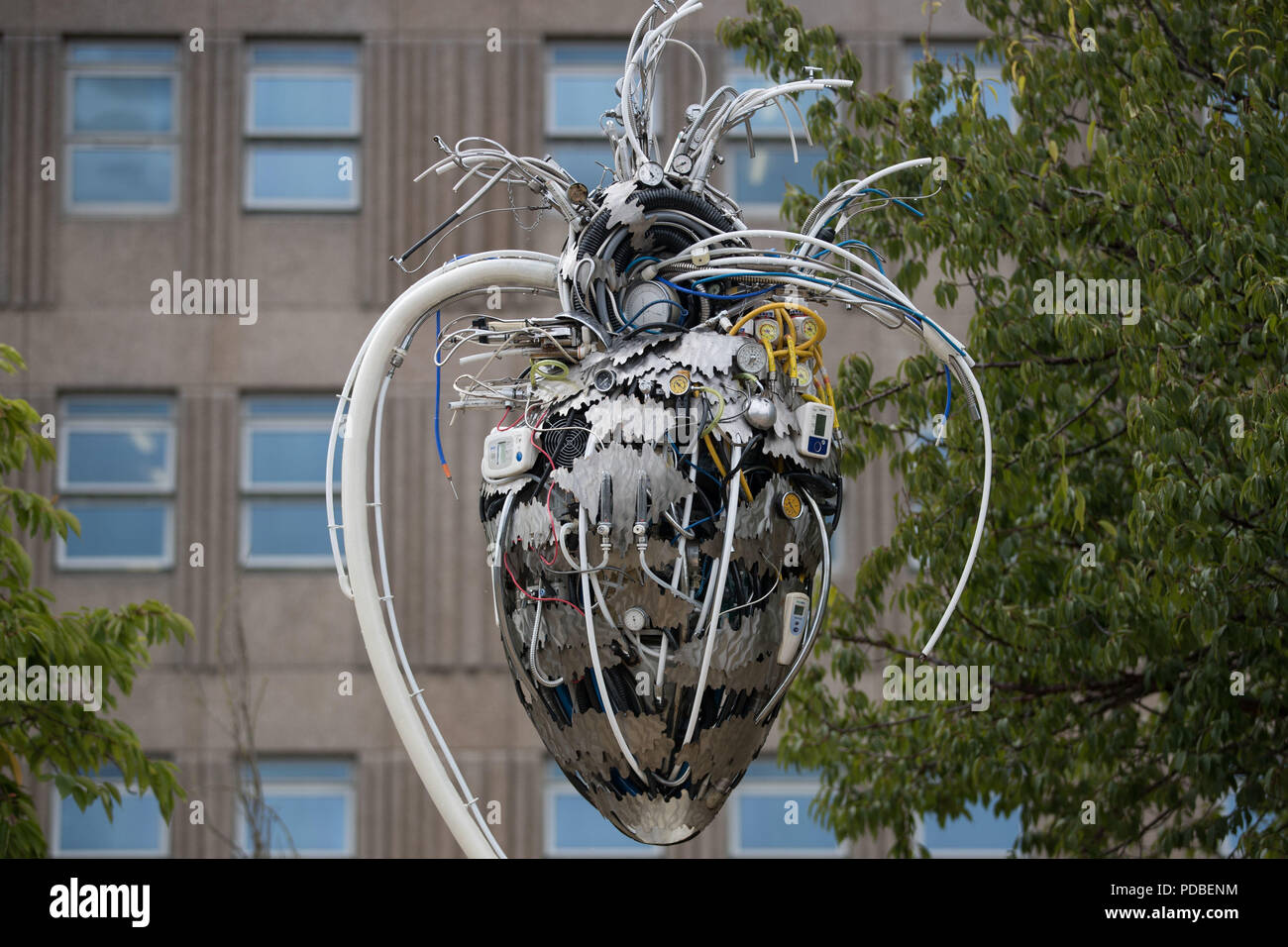A human heart sculpture which celebrates the 70th anniversary of the ...