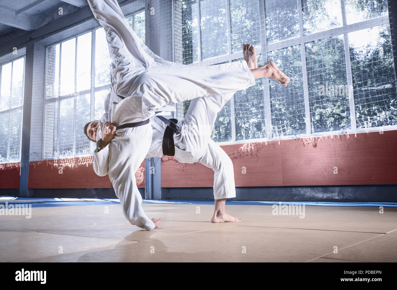 Judoka posture hi-res stock photography and images - Alamy