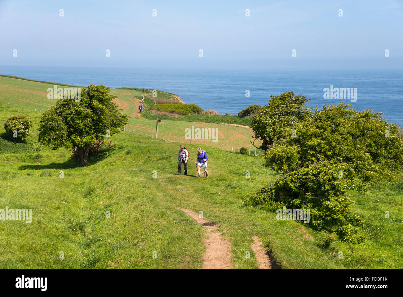Walkers on cleveland way caost path yorkshire hi-res stock photography ...