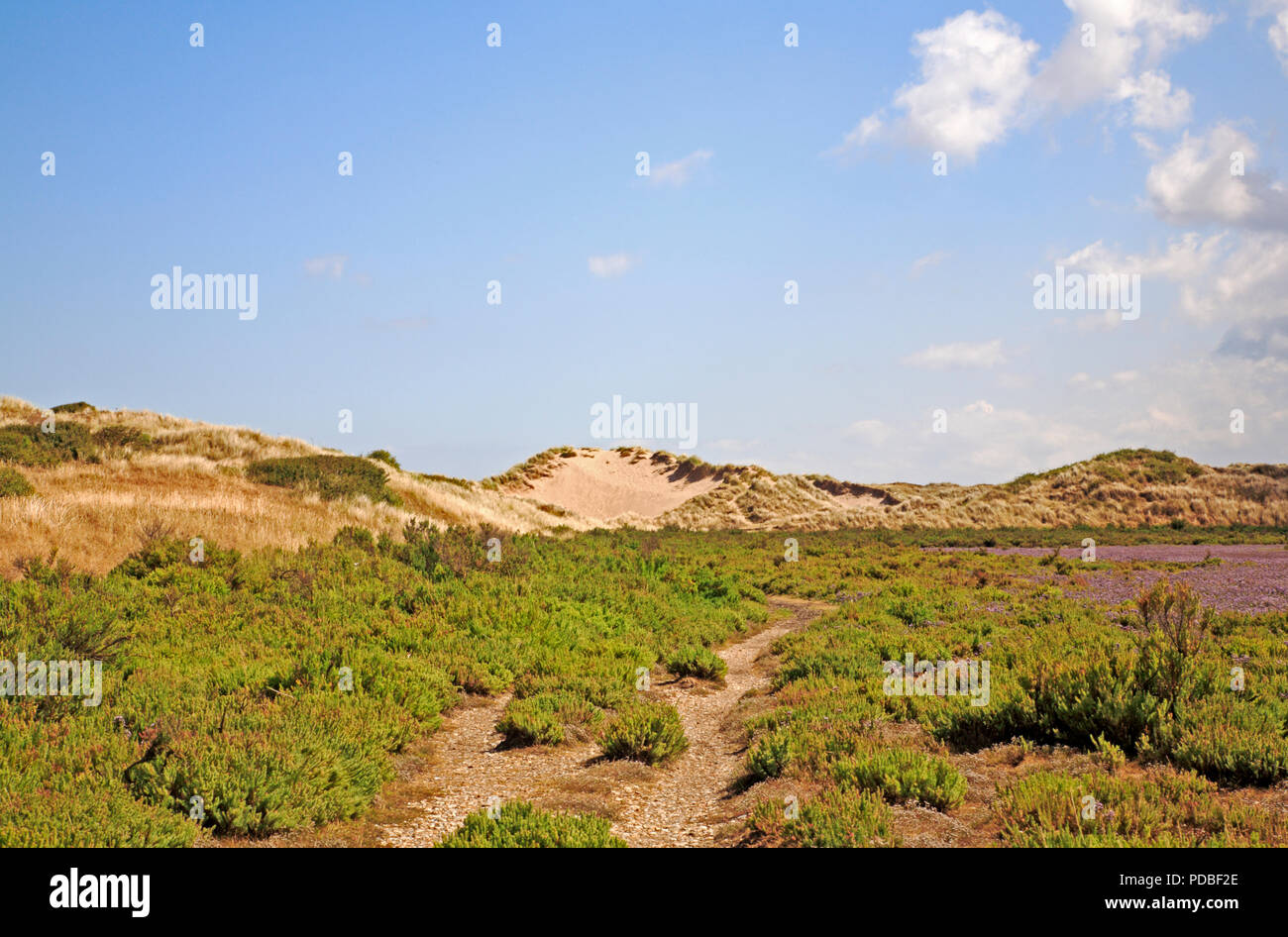 A line of sand dunes by salt marshes on the North Norfolk coast at ...