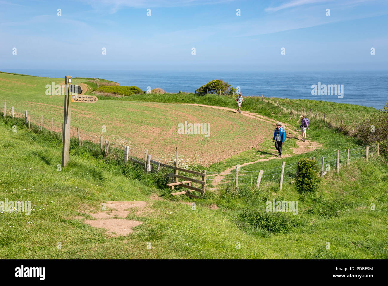 Walkers on the Cleveland Way coast path near Kettleness, Whitby, North ...