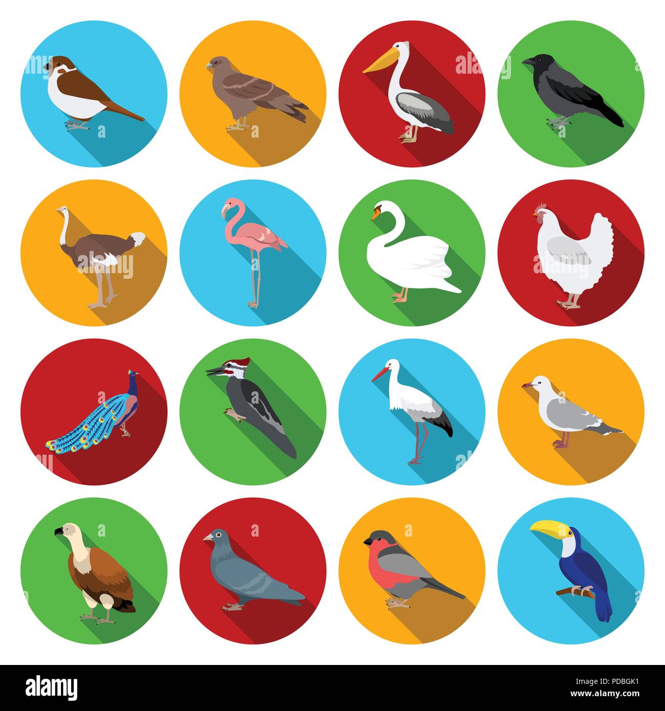 Types of birds flat icons in set collection for design. Home and wild ...