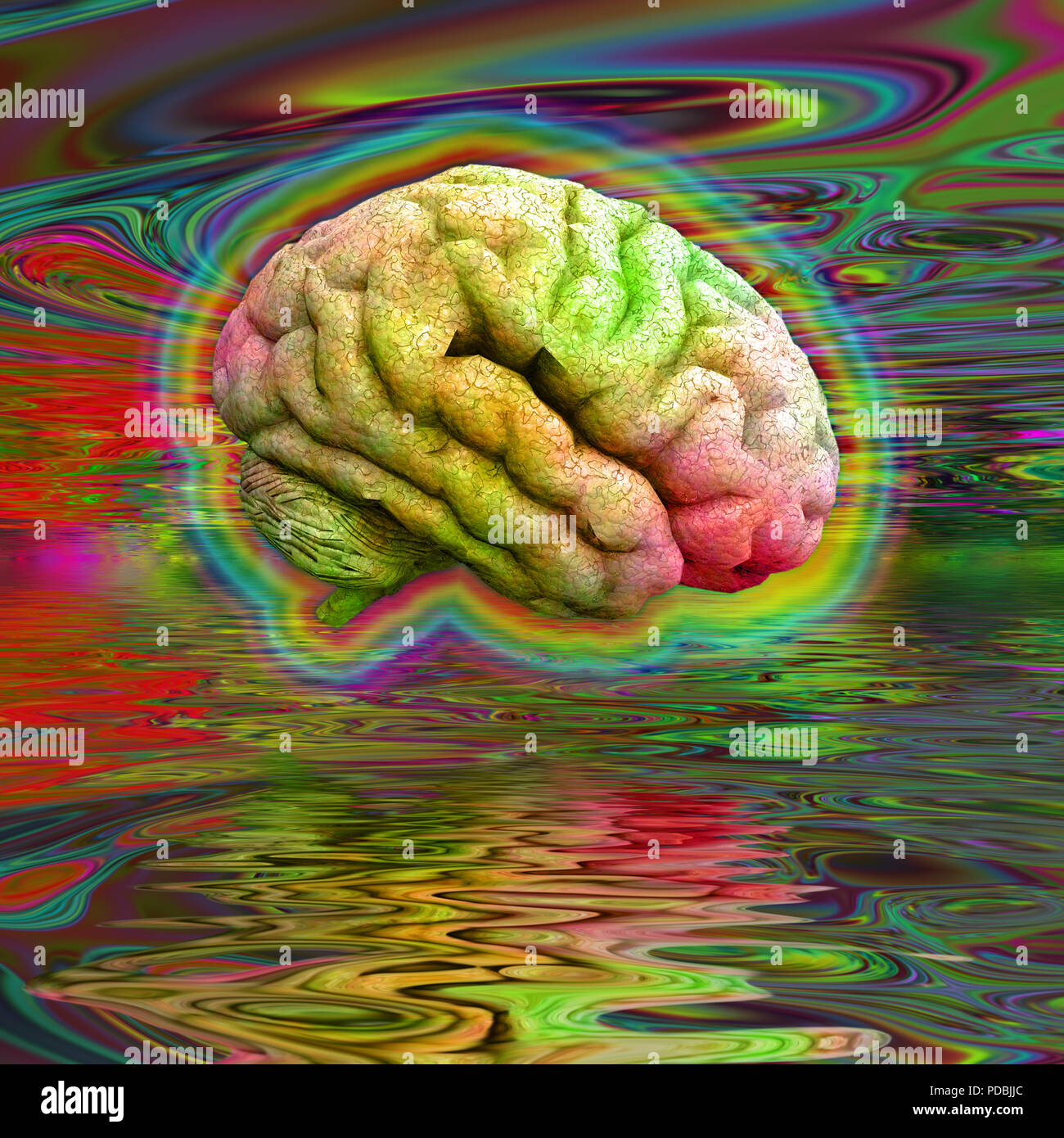 Human Brain Water High Resolution Stock Photography and Images - Alamy