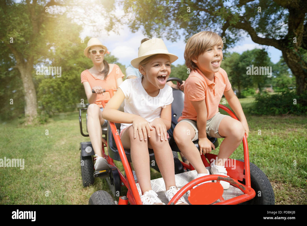 Family having a kart ride at the park Stock Photo - Alamy