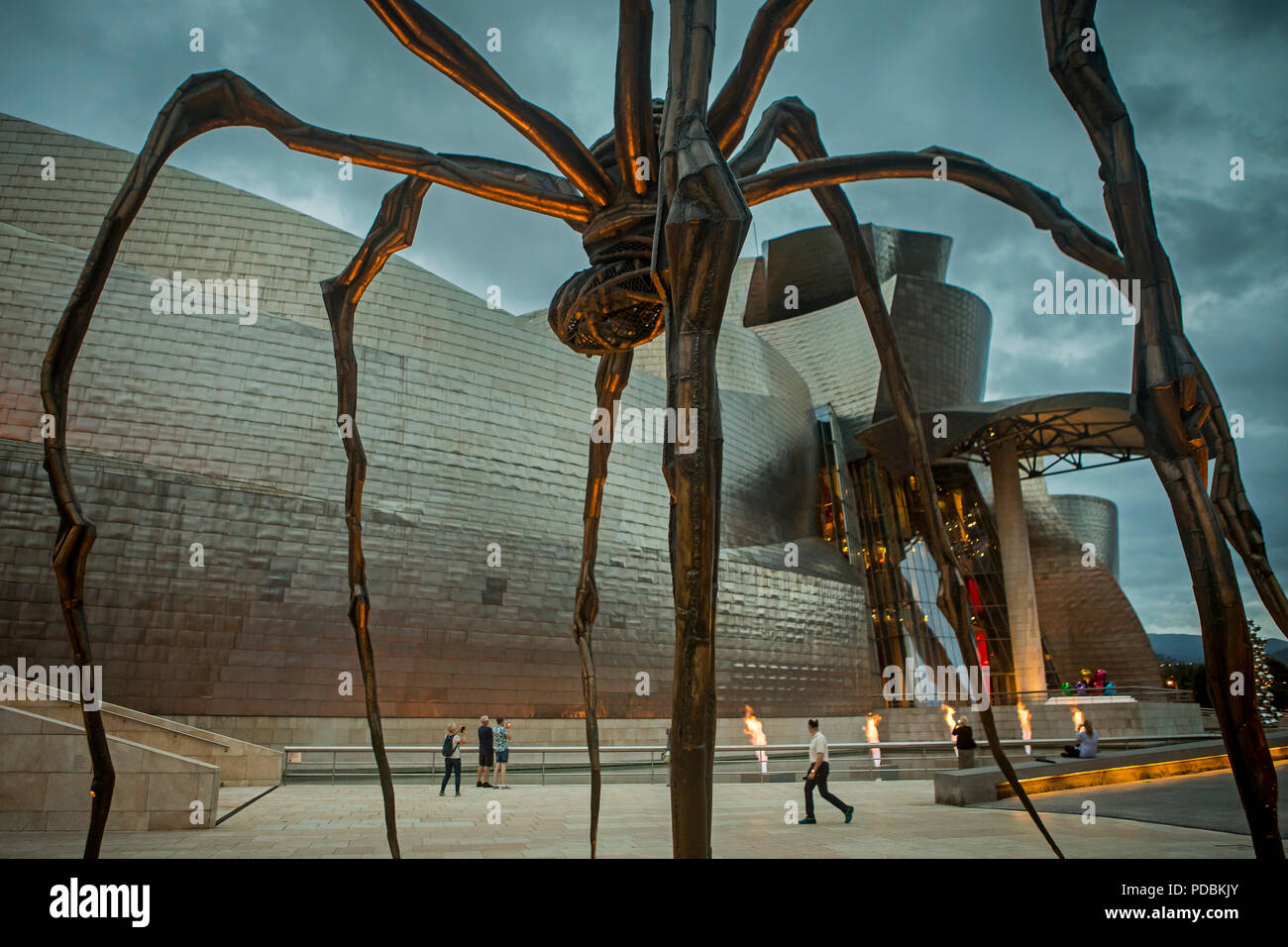 Night, `Maman´a bronze spider designed by Louise Bourgeois, and ...