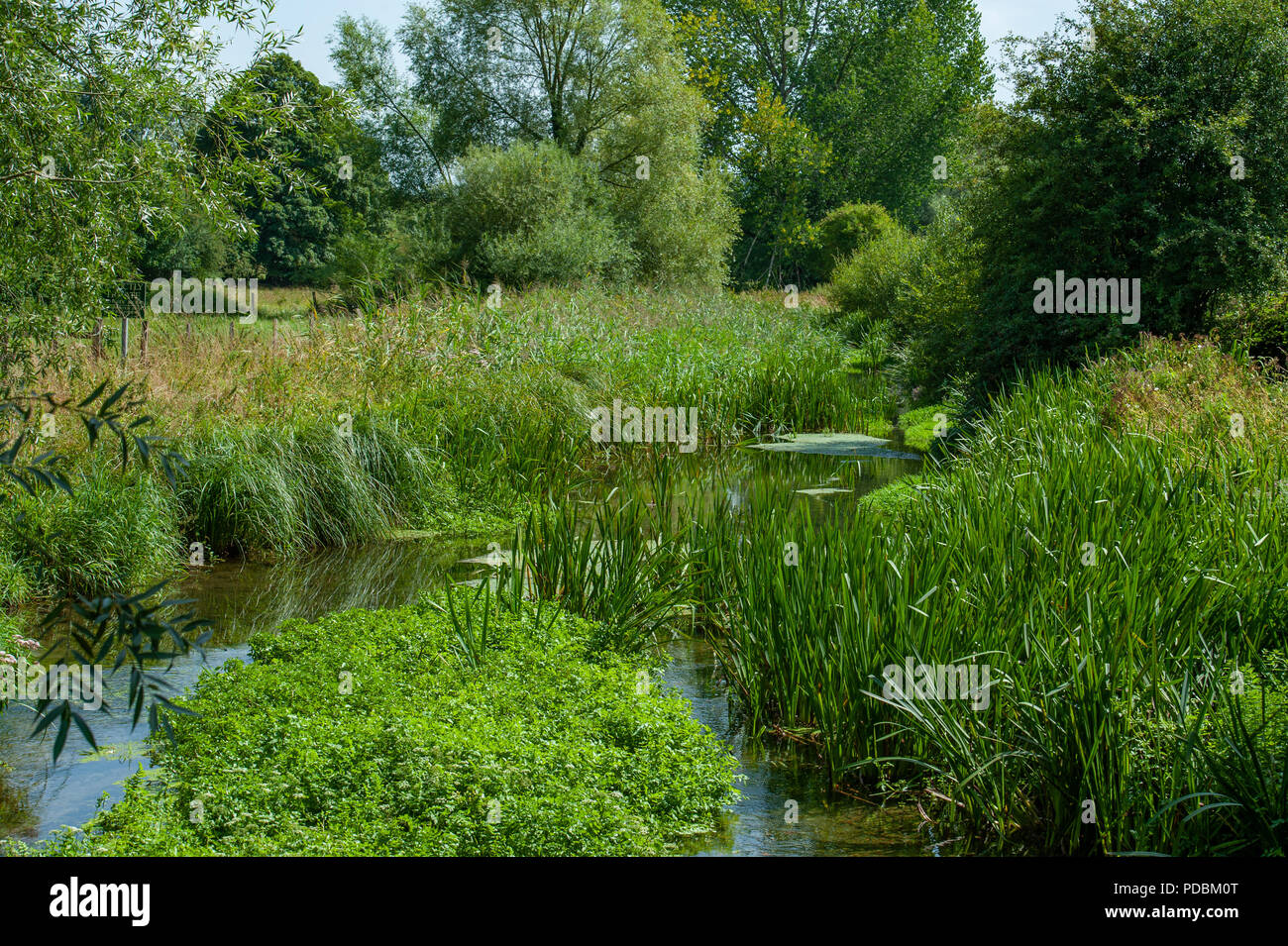 The River Wylye at Longbridge Deverill nr Warminster, Wiltshire, UK ...