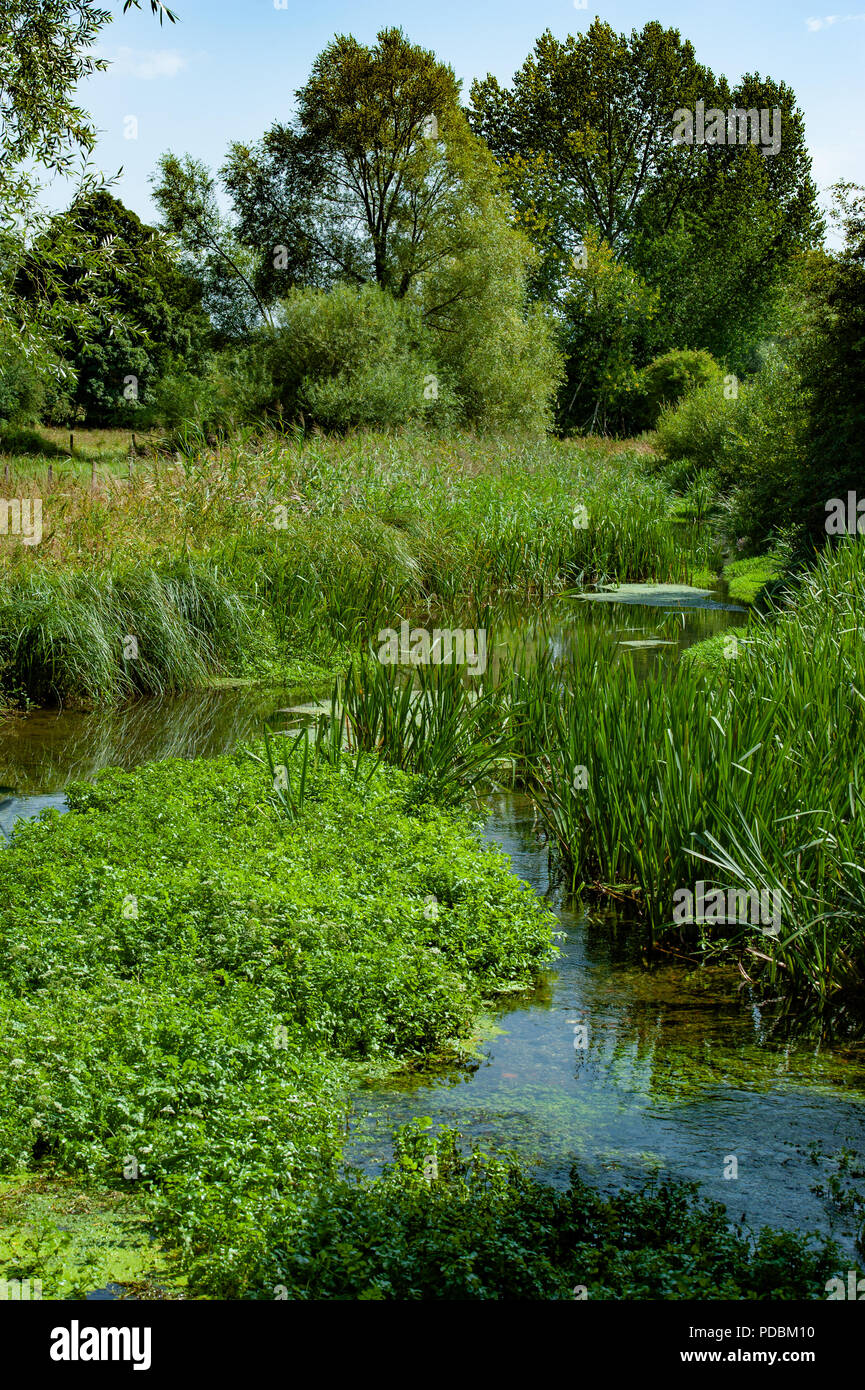 River wylye wiltshire hi-res stock photography and images - Alamy