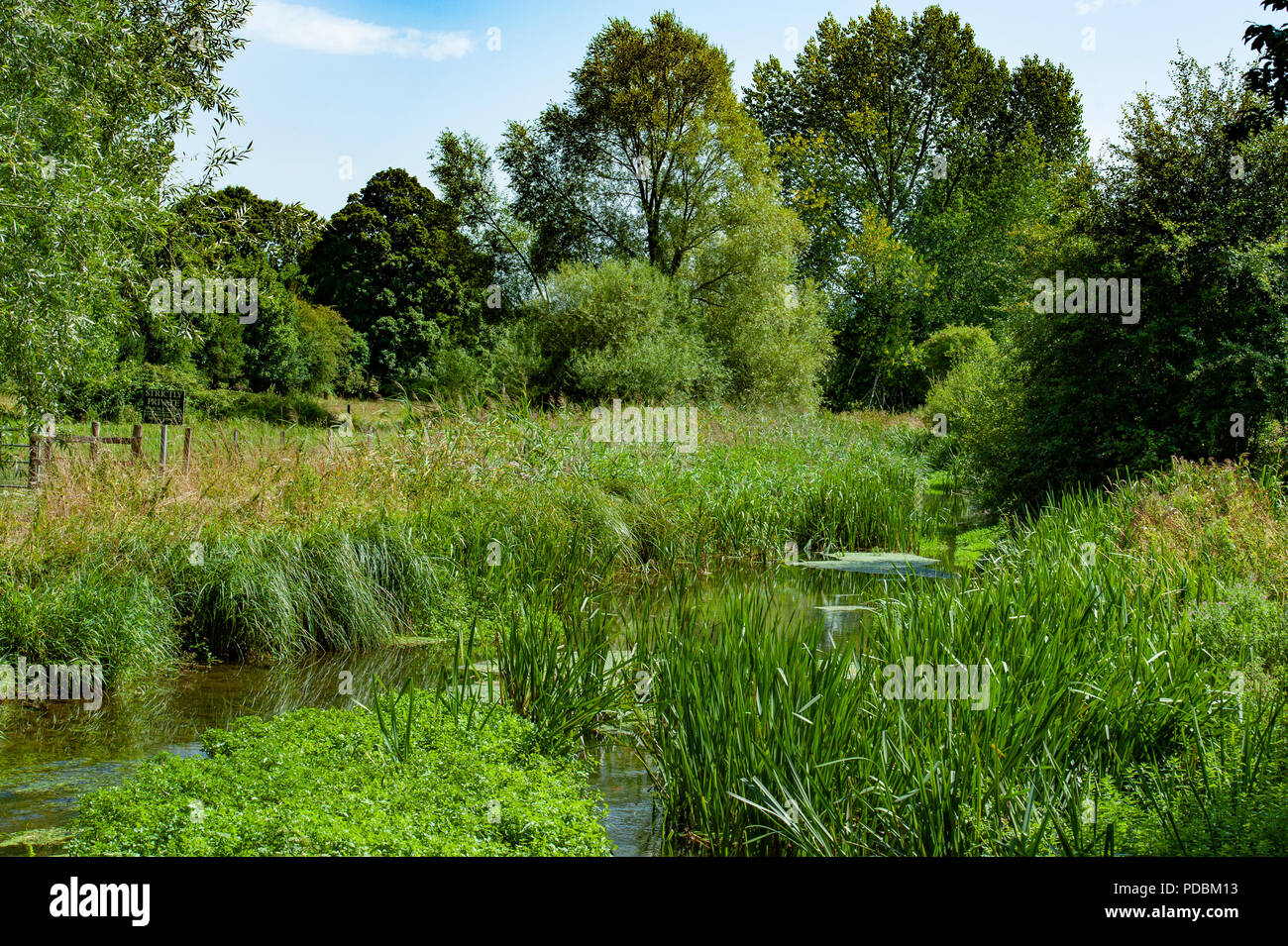 The River Wylye at Longbridge Deverill nr Warminster, Wiltshire, UK ...
