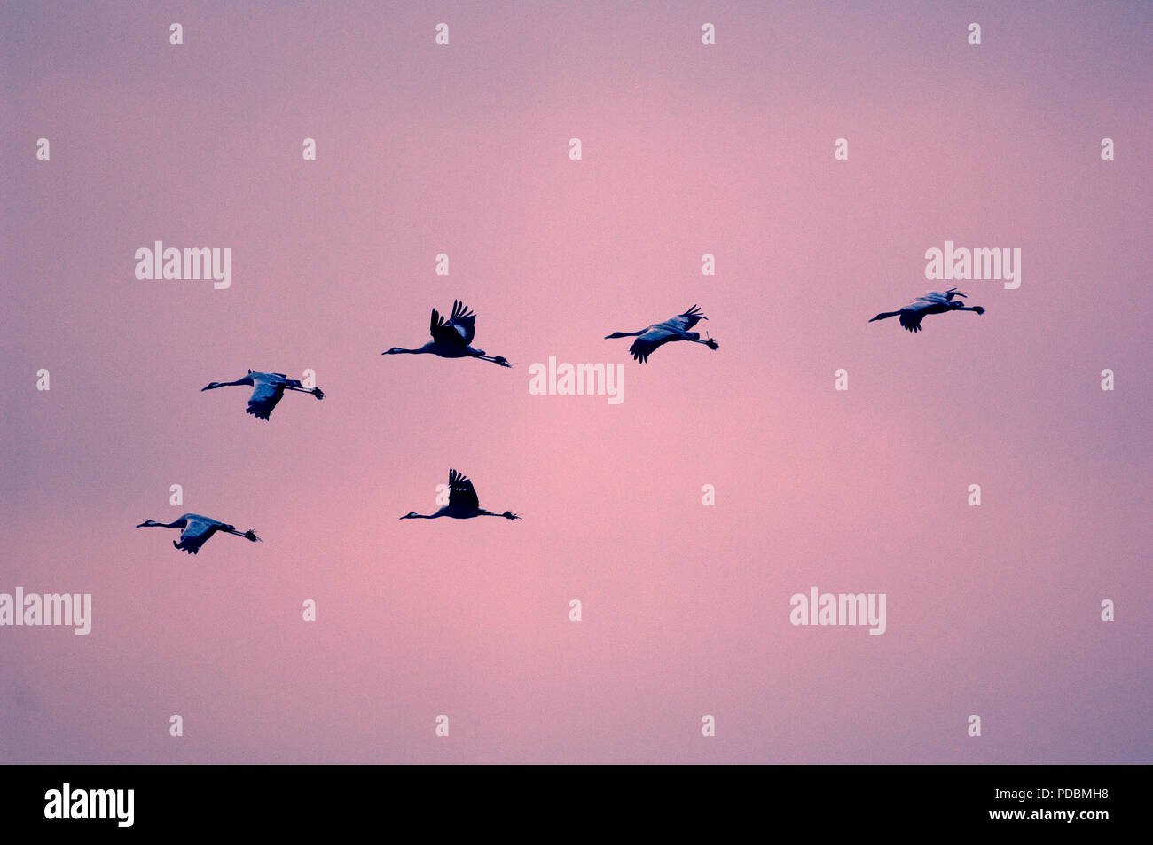 Soileil hi-res stock photography and images - Alamy