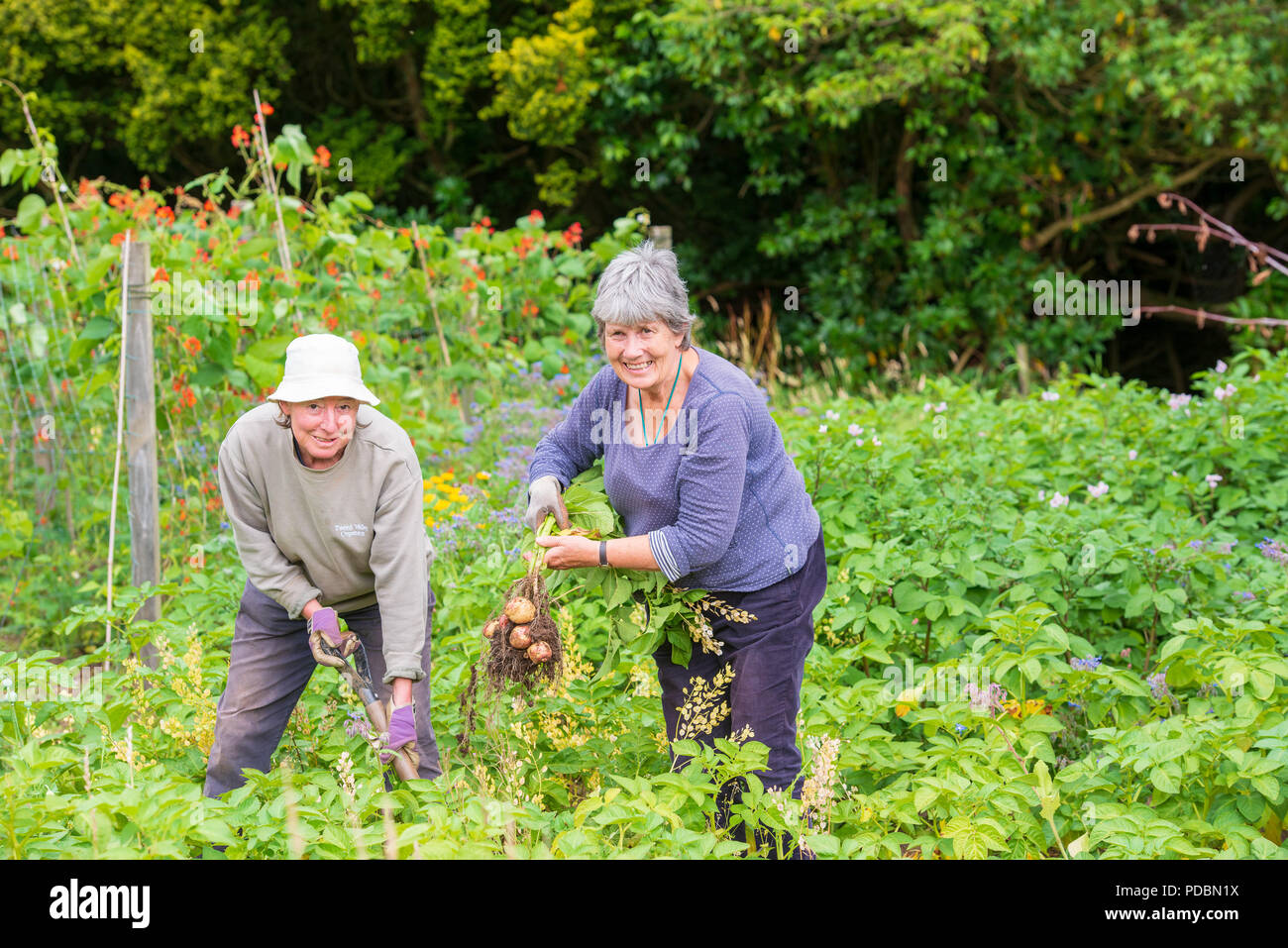 Cala Homes, The Lost Gardens of Penicuik, Volunteers Jane Kell and ...