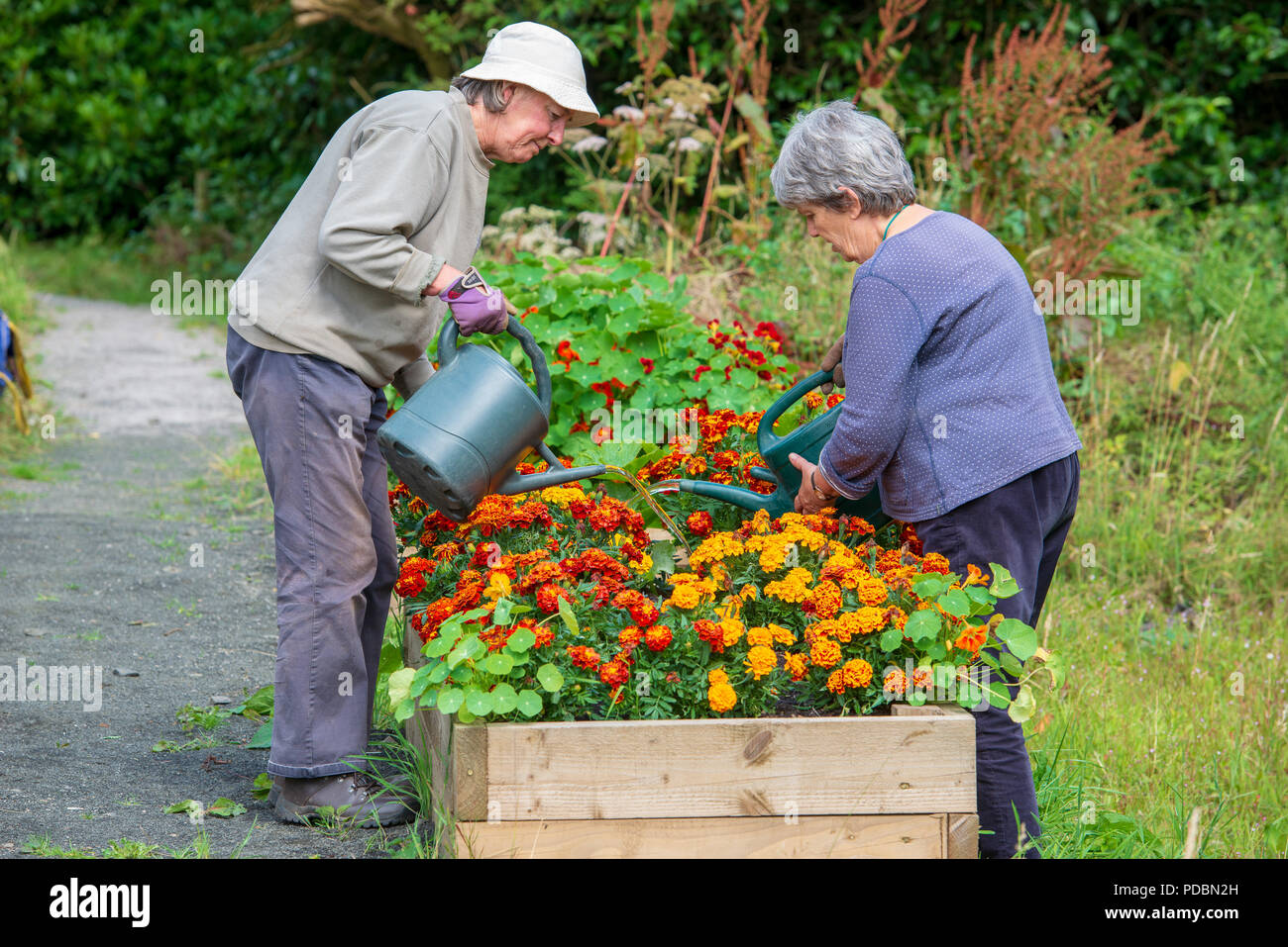Cala Homes, The Lost Gardens of Penicuik, Volunteers Jane Kell and ...