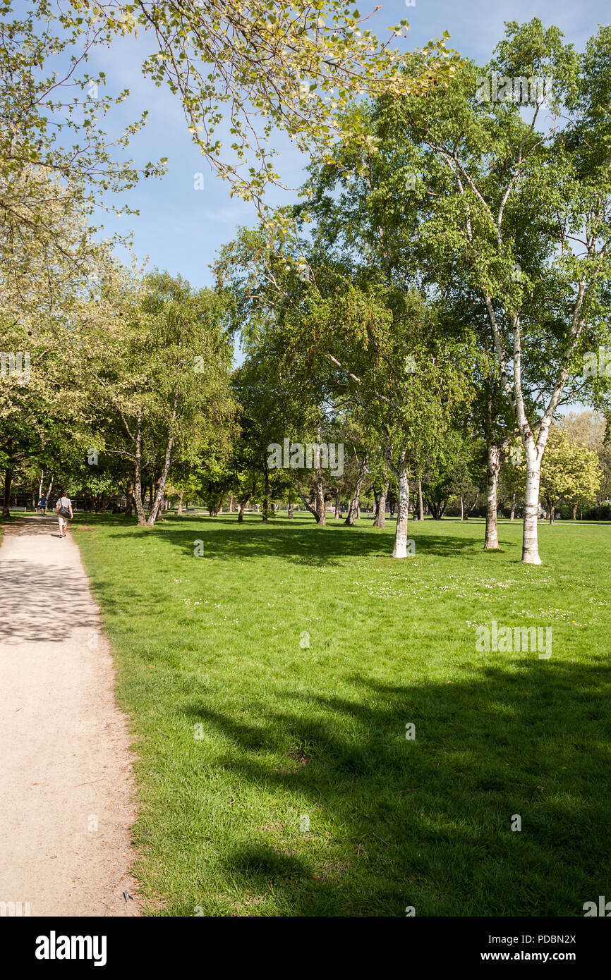 Beautiful park scene in public park with green grass field, green tree ...