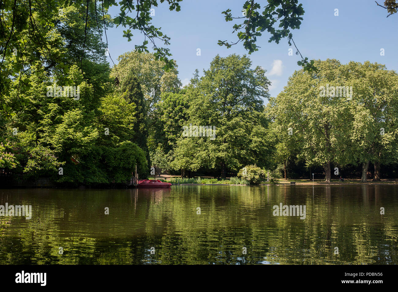 Beautiful park scene in public park with green grass field, green tree ...
