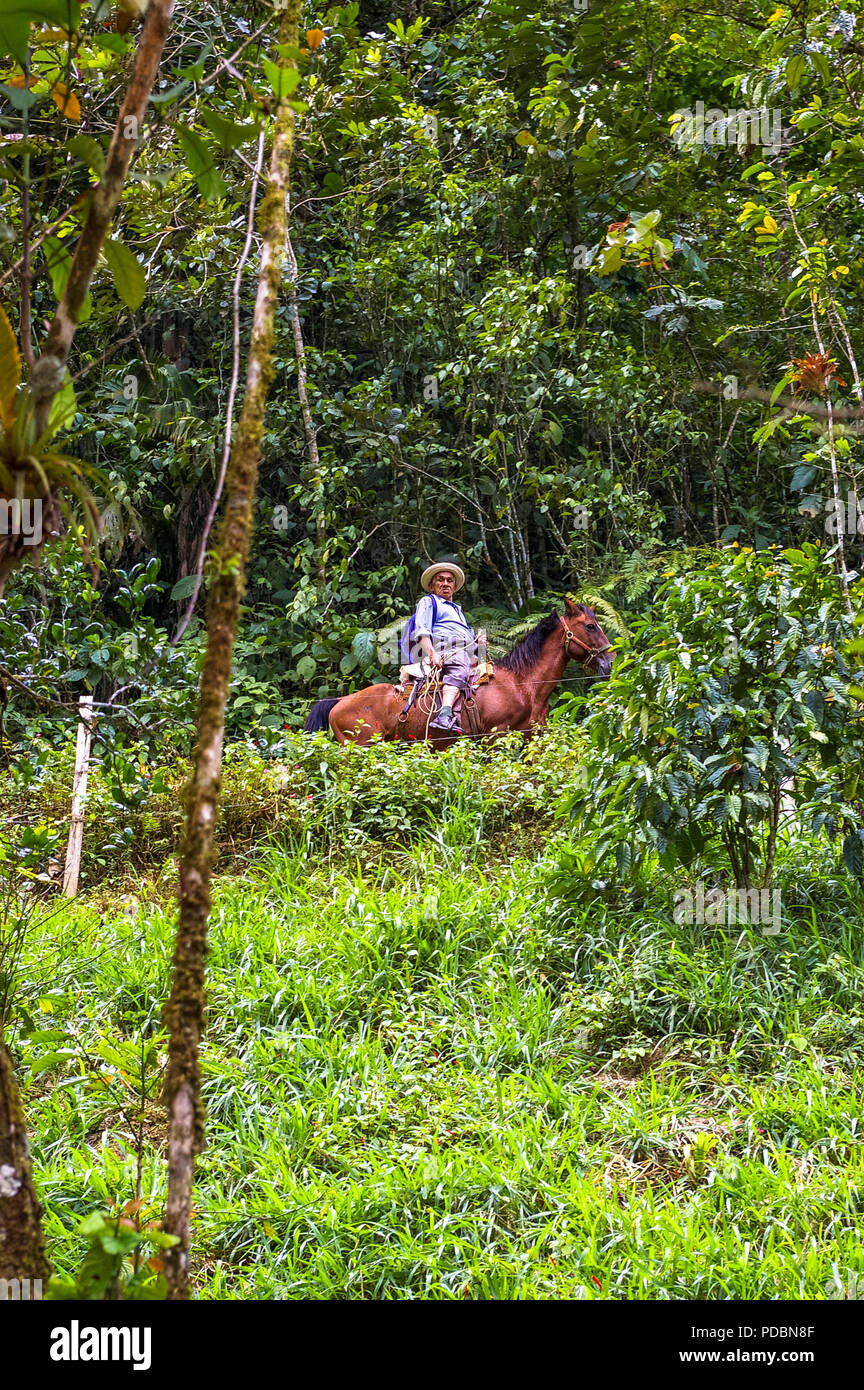 Man horseback western hi-res stock photography and images - Alamy