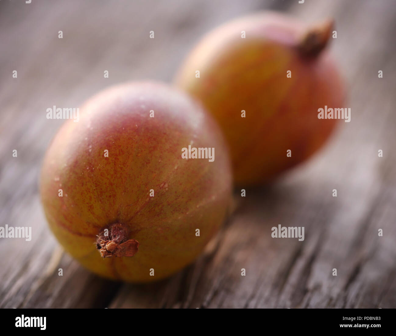 Ripe fresh organic gooseberries hi-res stock photography and images - Alamy