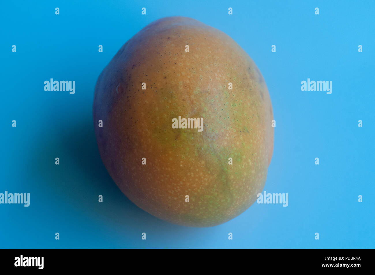 whole Fresh ripe mango on blue background Stock Photo - Alamy