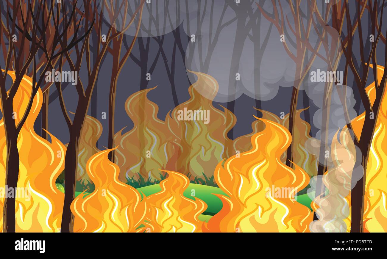 A forest wildfire disaster illustration Stock Vector Image & Art - Alamy