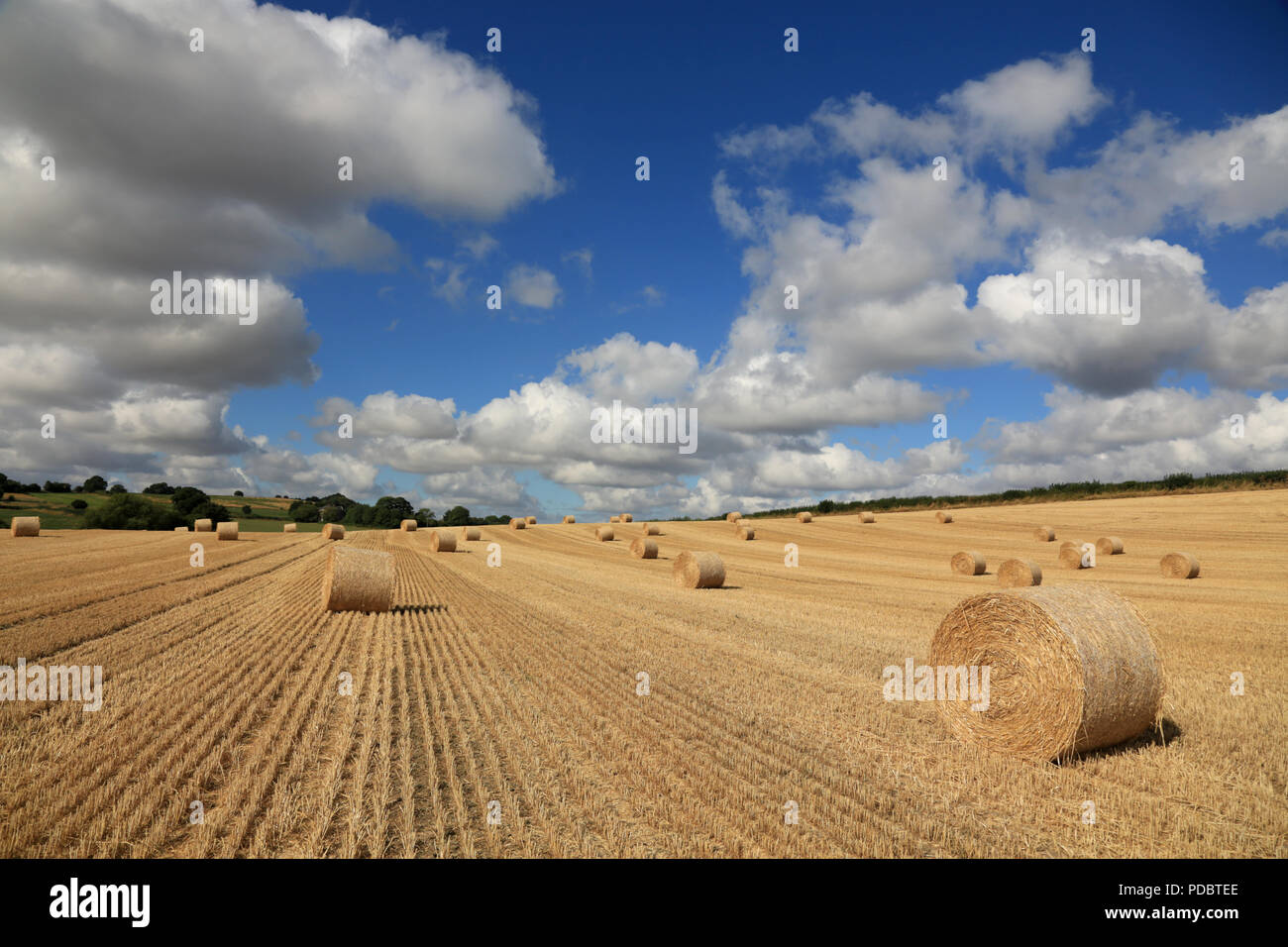 English farm field after harvesting hi-res stock photography and images ...