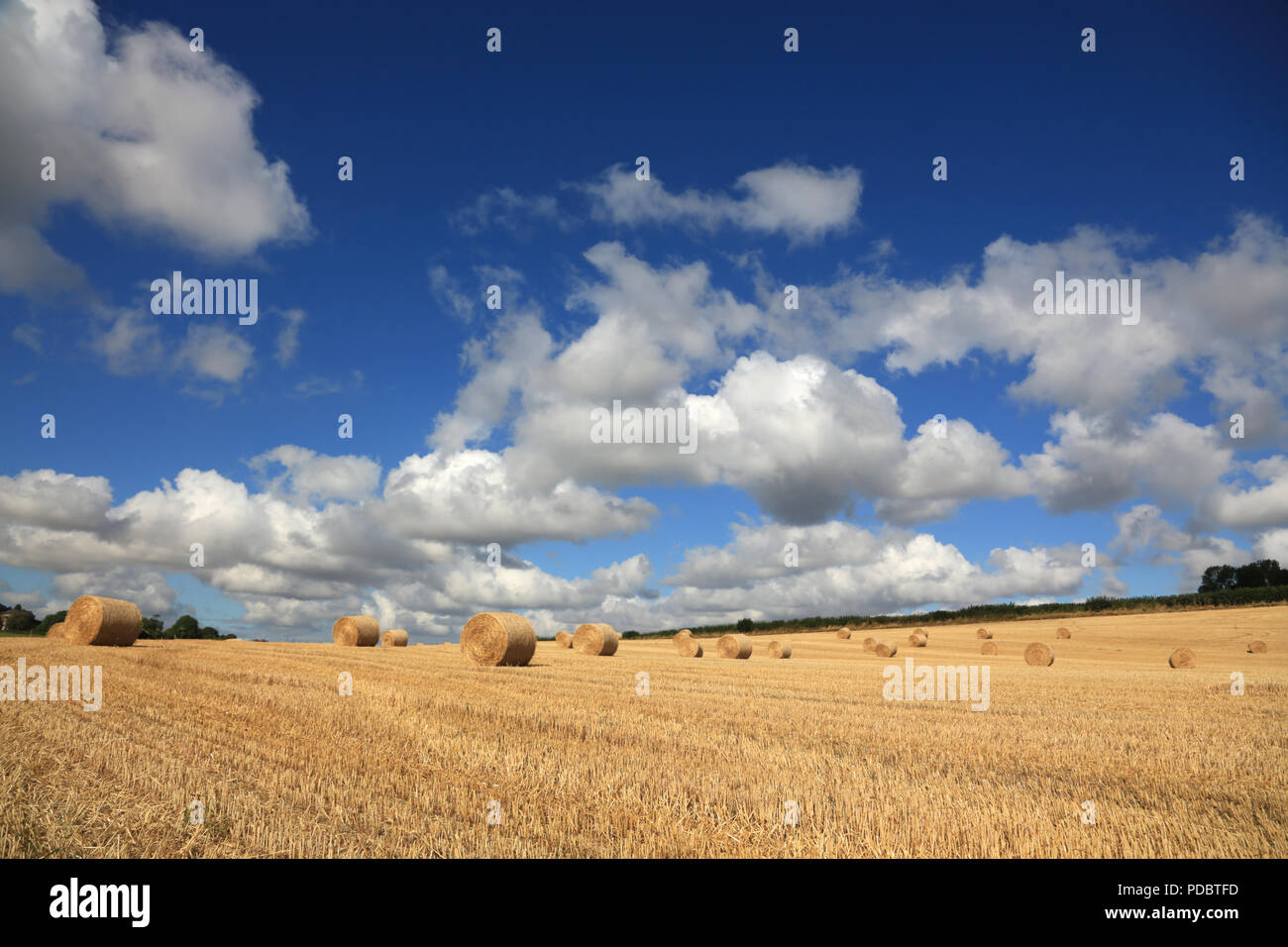 English farm field after harvesting hi-res stock photography and images ...