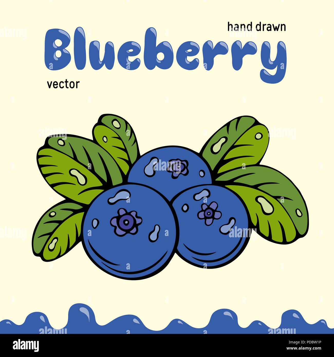Clipart Blueberry