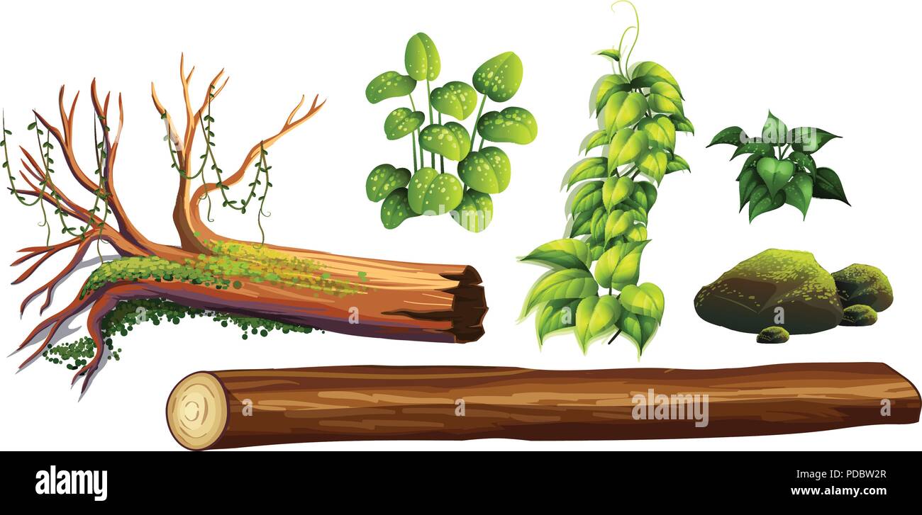A set of forest element illustration Stock Vector Image & Art - Alamy