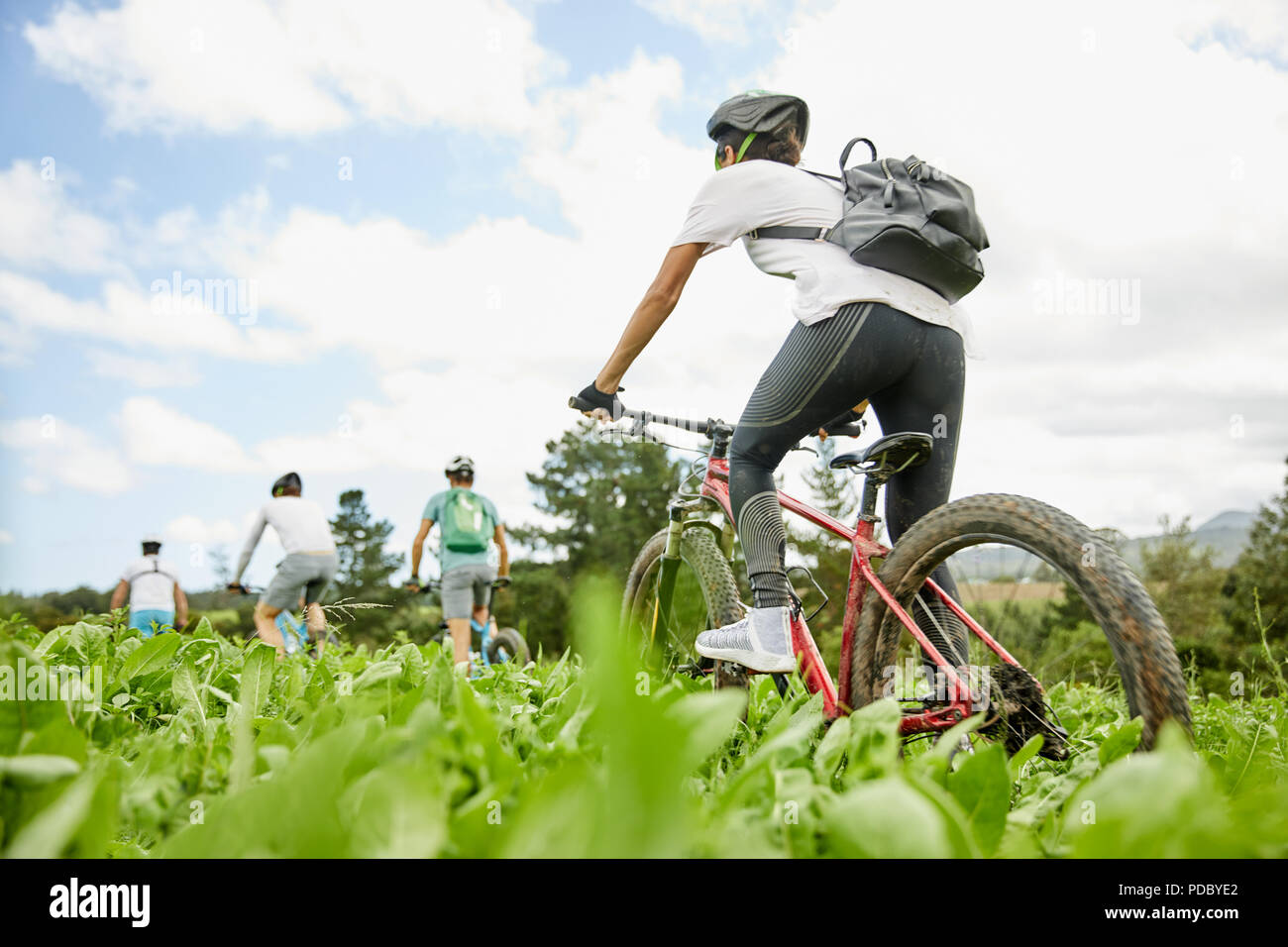 Rural activities hi-res stock photography and images - Alamy