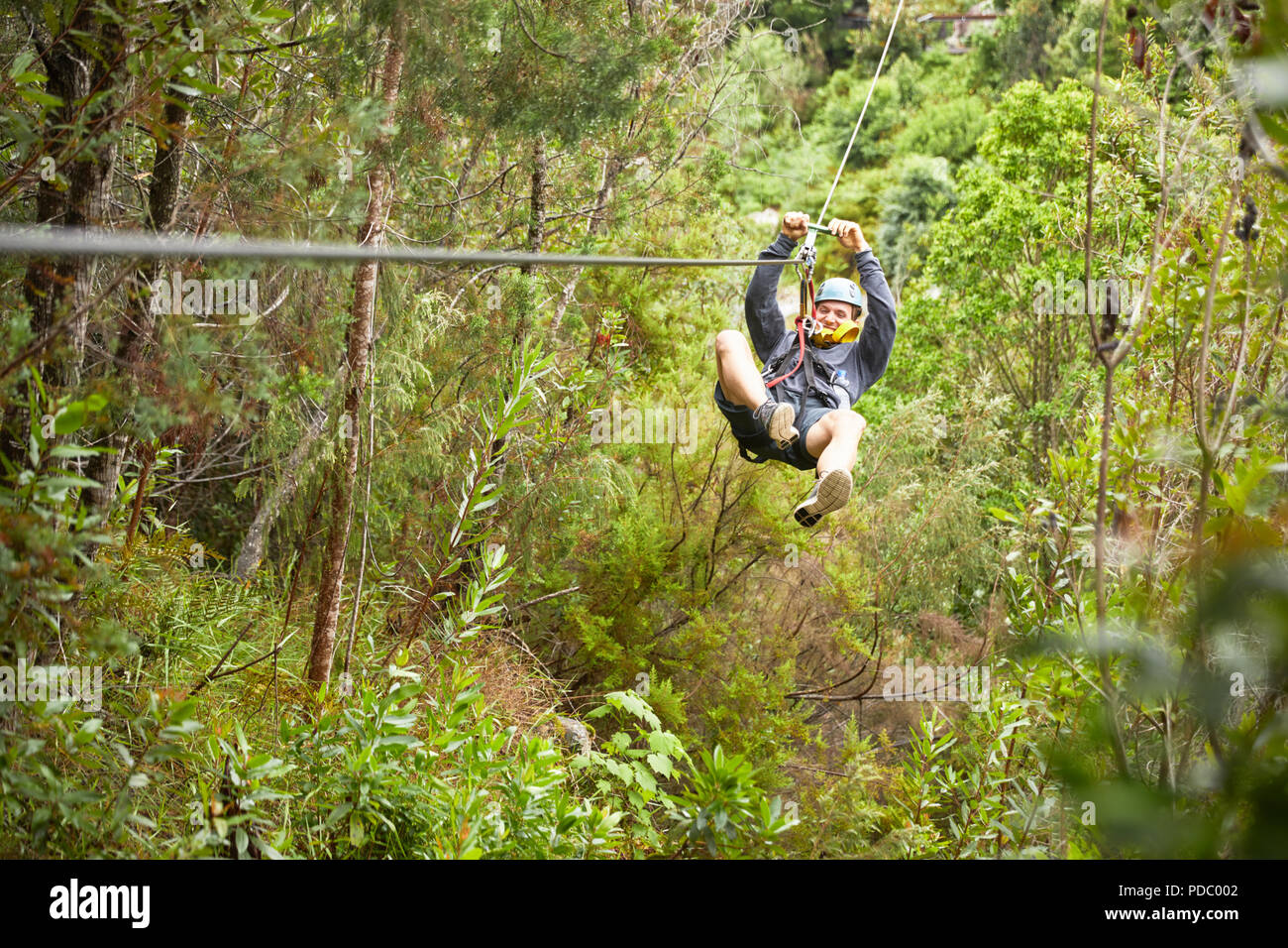 Man zip lining above trees in woods Stock Photo - Alamy