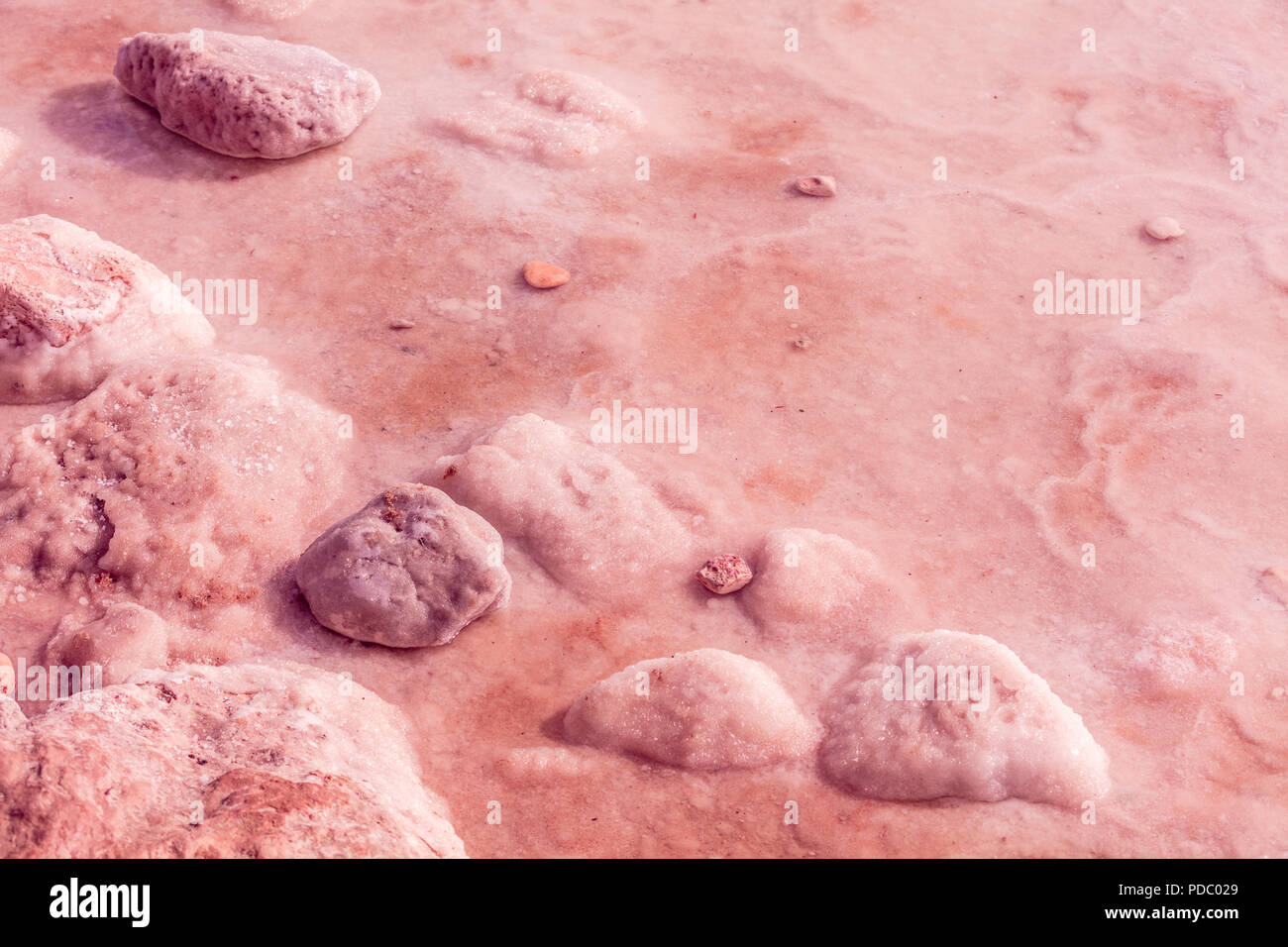 Dead sea salty shore. Marsala color Stock Photo - Alamy