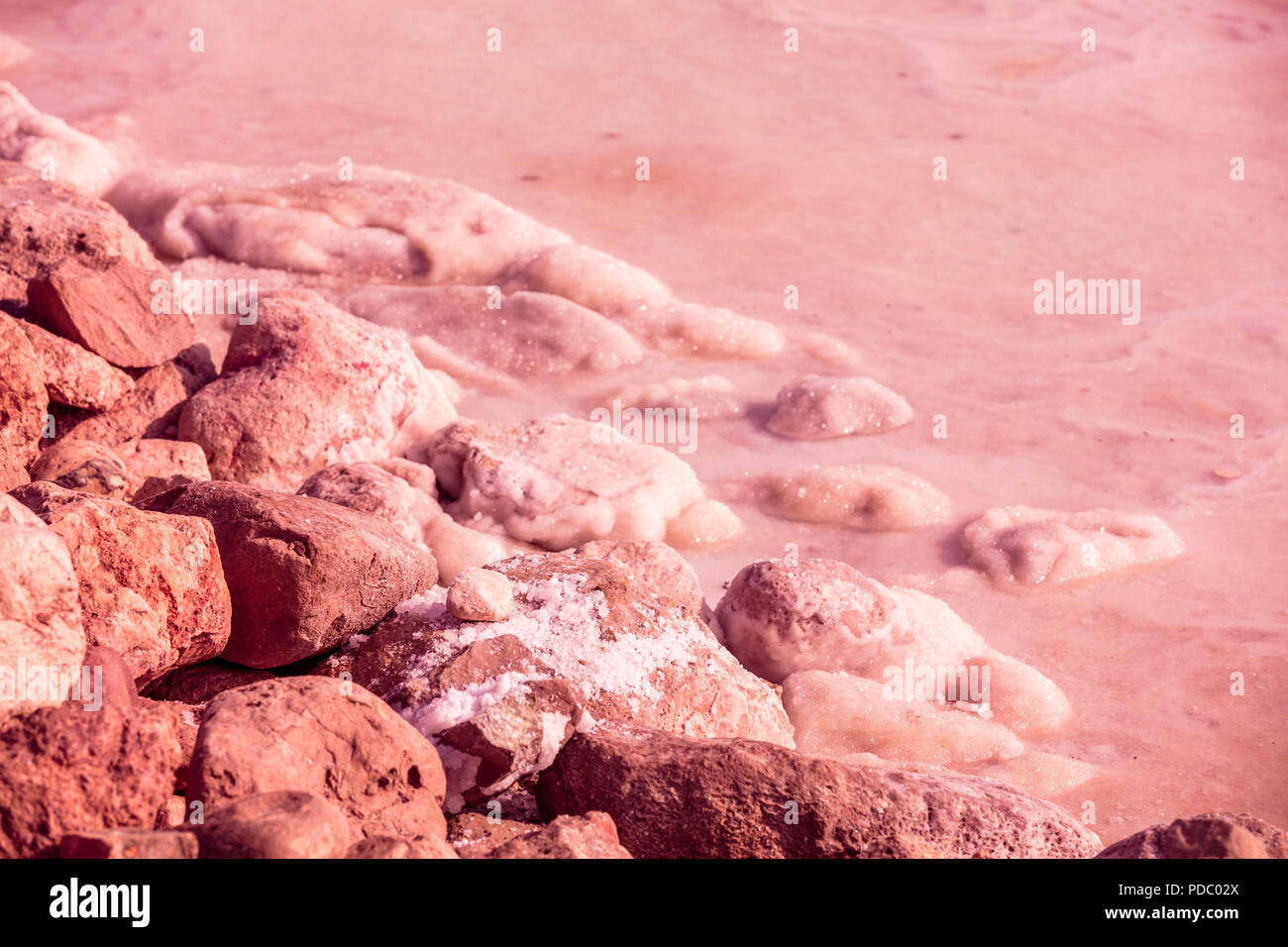 Dead sea salty shore. Marsala color Stock Photo - Alamy