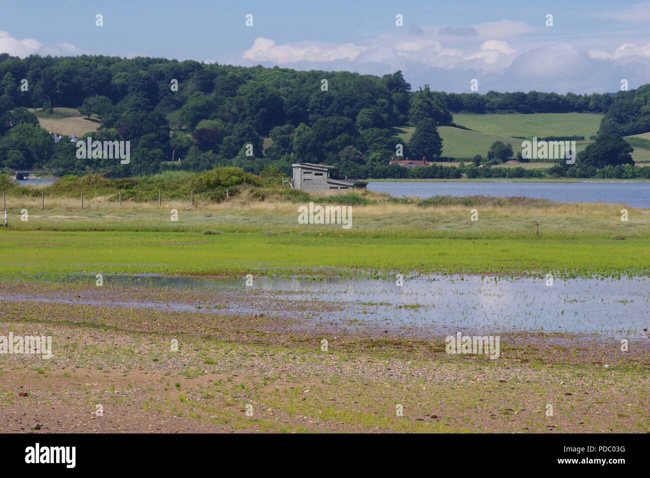 Marsh samphire uk hi-res stock photography and images - Alamy
