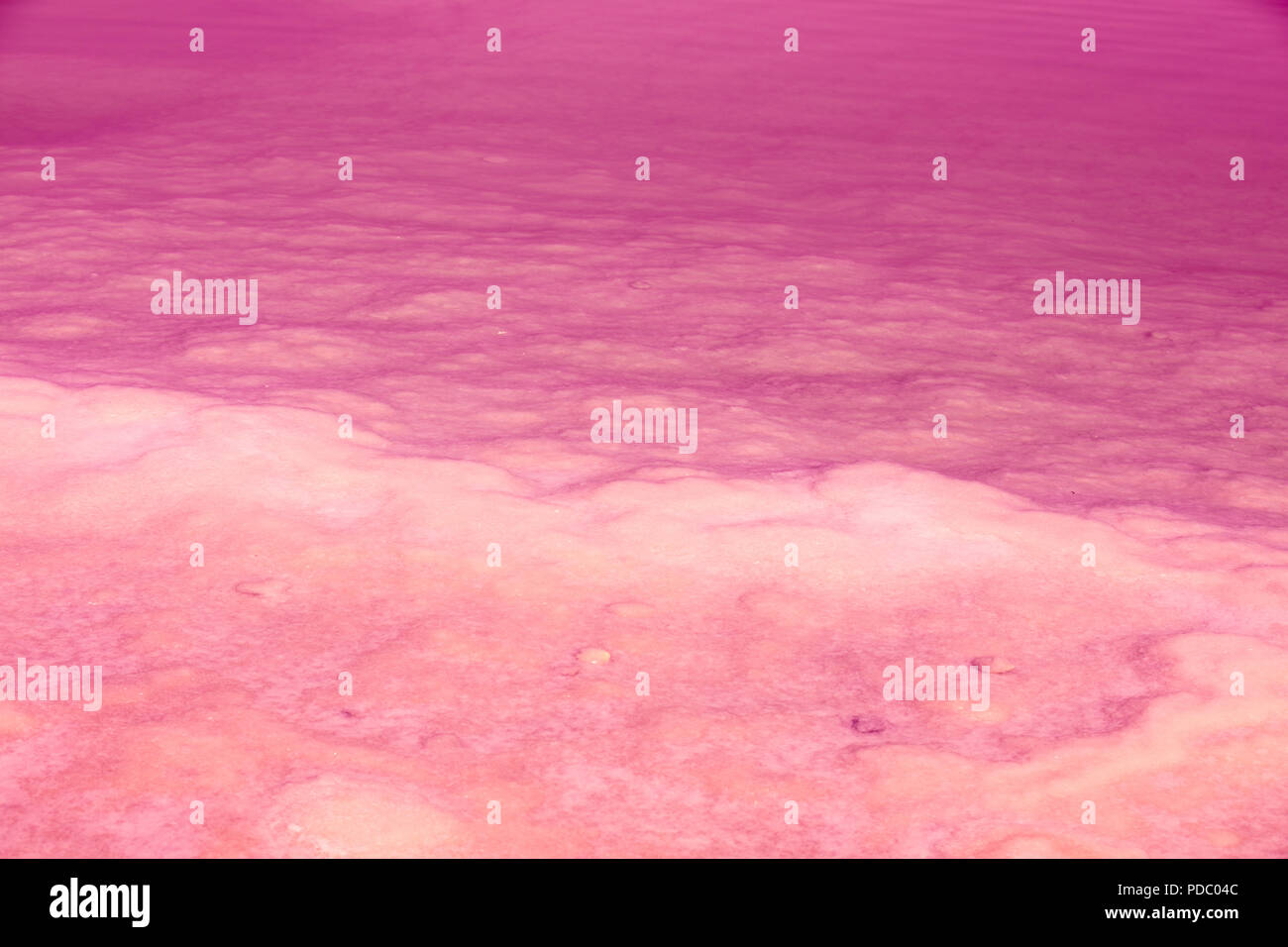 Shore lakeshore hi-res stock photography and images - Alamy