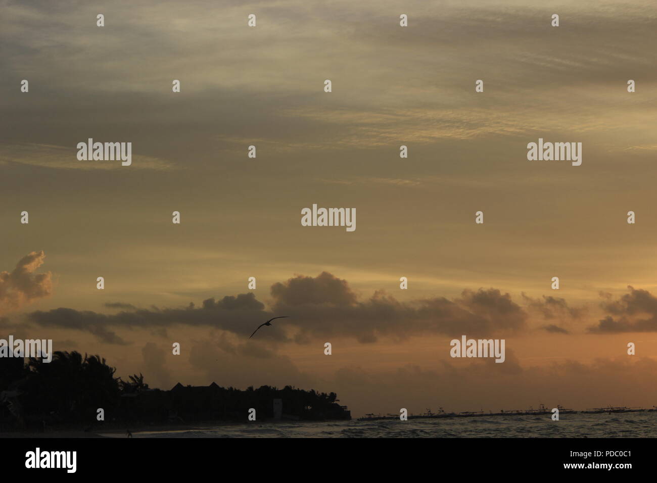 Twilight model hi-res stock photography and images - Alamy