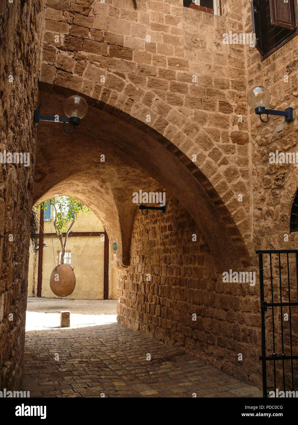 Old Jaffa, orange tree suspended on ropes Stock Photo - Alamy