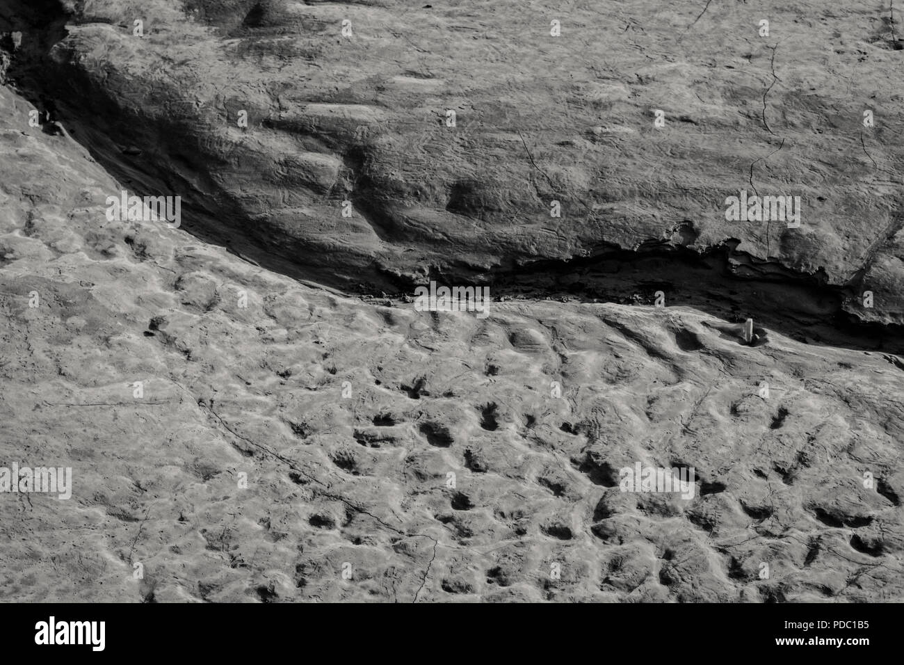 Rough soil hi-res stock photography and images - Alamy