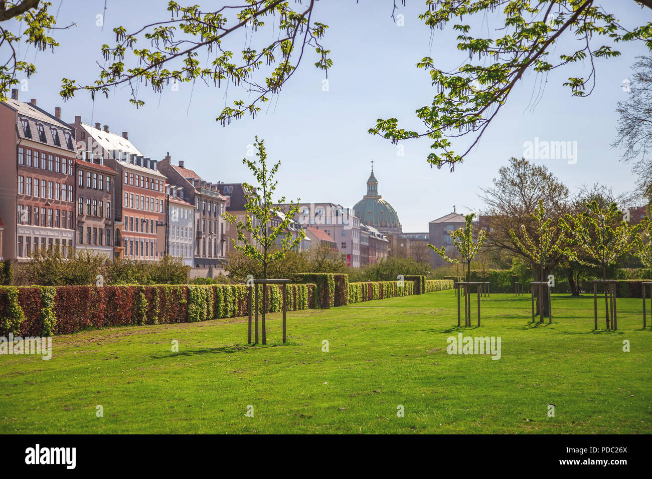 beautiful green lawn with trees and bushes and cozy street with ...