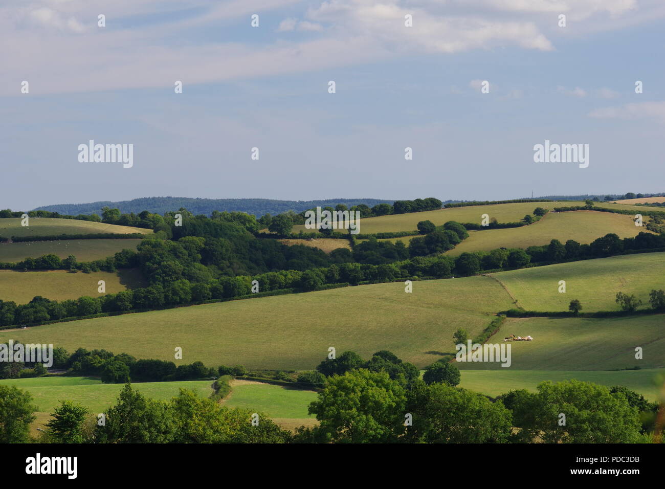 Rolling Devon Farmland. Green Patchwork Landscape of Pasture and ...