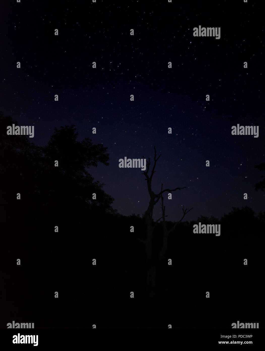 Beautiful sparkling lights stars in hi-res stock photography and images ...