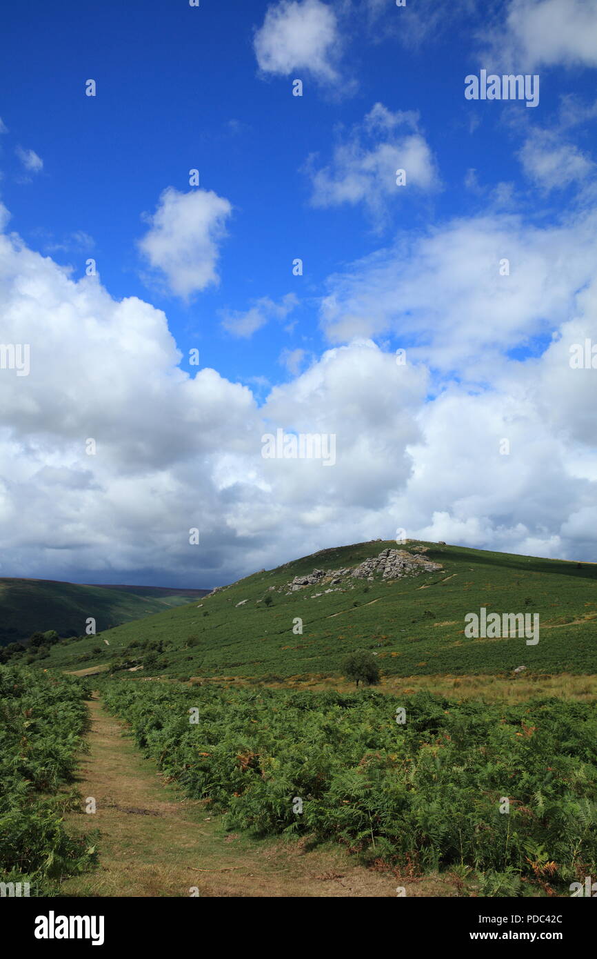 Bell tor, Dartmoor National Park, Devon, England, UK Stock Photo - Alamy