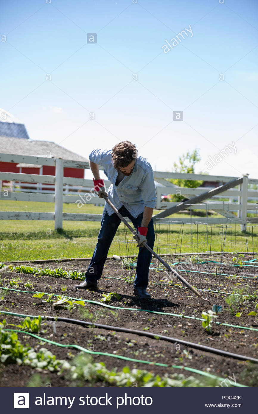Tending garden hi-res stock photography and images - Alamy