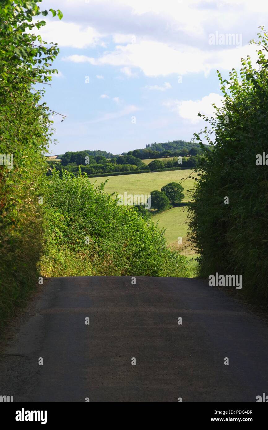 Country Lane Backroad between Devon Hedges with Patchwork Farming ...
