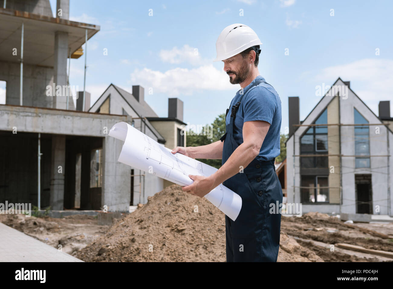 Smart professional engineer looking at the blueprint Stock Photo - Alamy