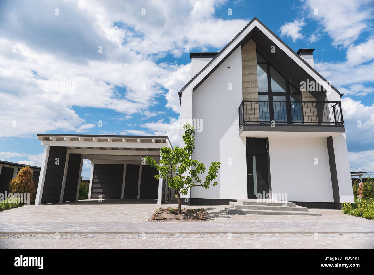 Small tree growing near the house Stock Photo - Alamy