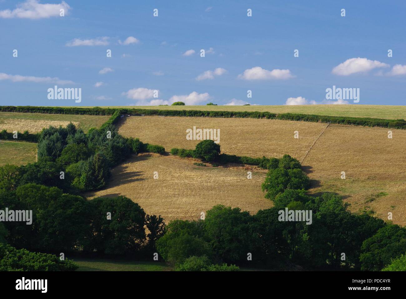 Rolling Devon Farmland. Green Patchwork Landscape of Pasture and ...