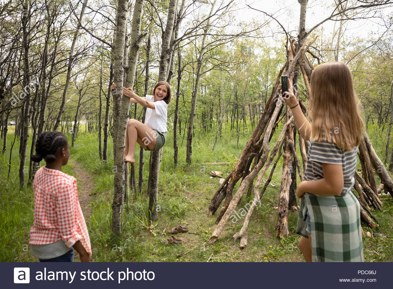 Girl in a climbing tree hi-res stock photography and images - Alamy